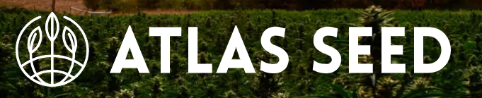 Atlas Seed