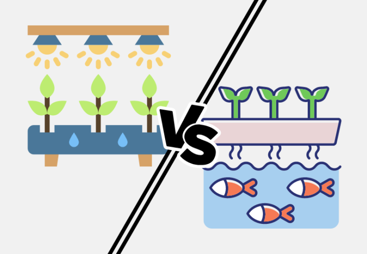 Hydroponics vs. aquaponics vs. aeroponics: which system to use to grow ...